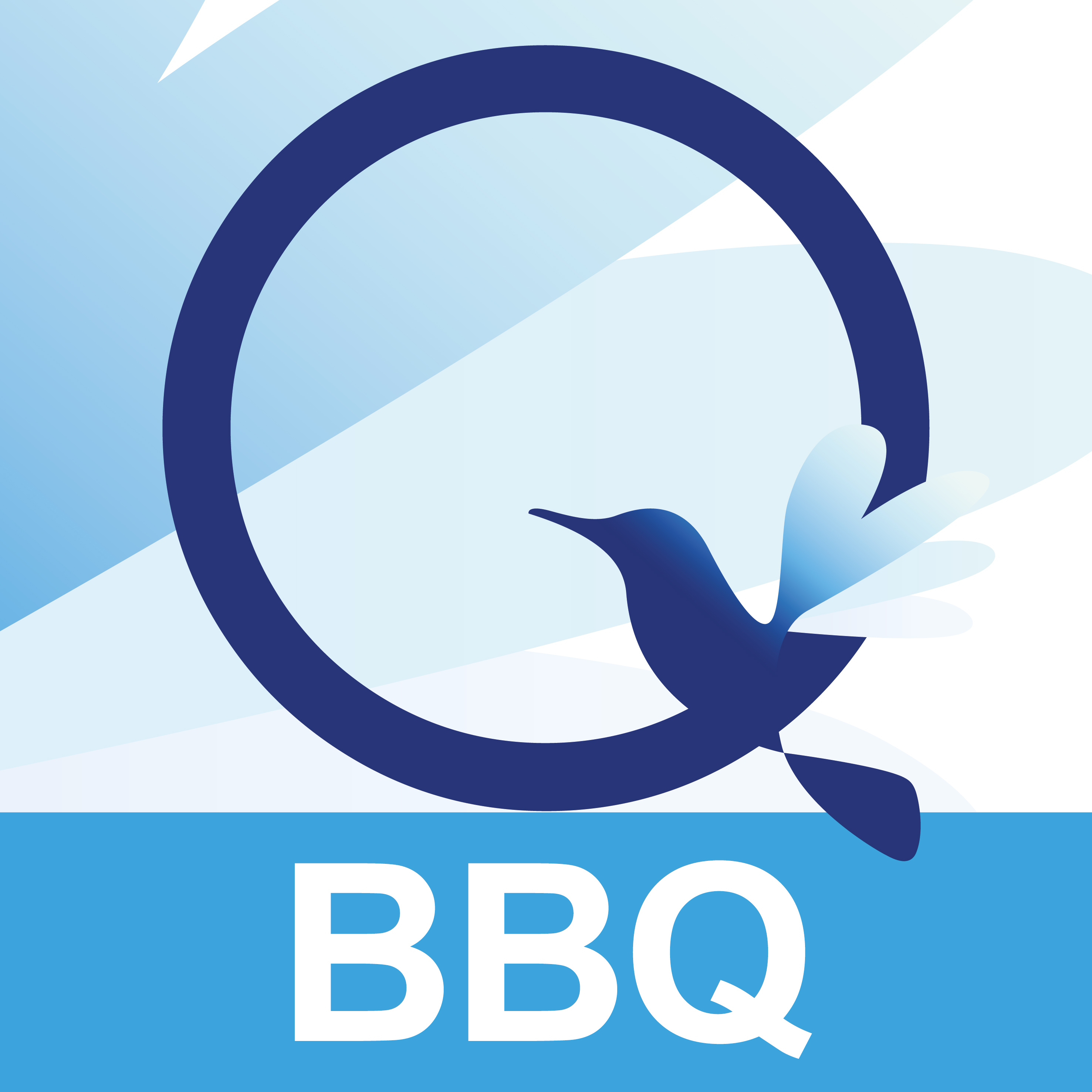 Italian Version of the Back Beliefs Questionnaire Validated for ...